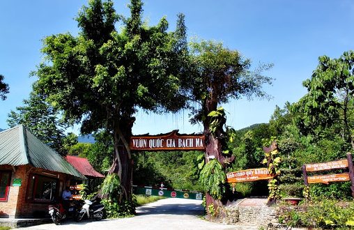 Bach Ma National Park - Hotel Le Bouton, Da Nang | Official Site